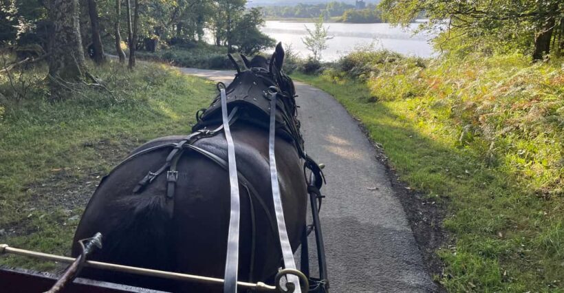 Killarney National Park Jaunting Car Tour - A Deep Dive into the Killarney National Park Jaunting Car Tour