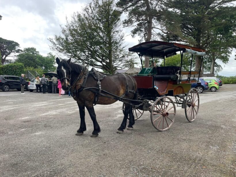 Killarney National Park Jaunting Car Tour - Who Should Consider This Tour?