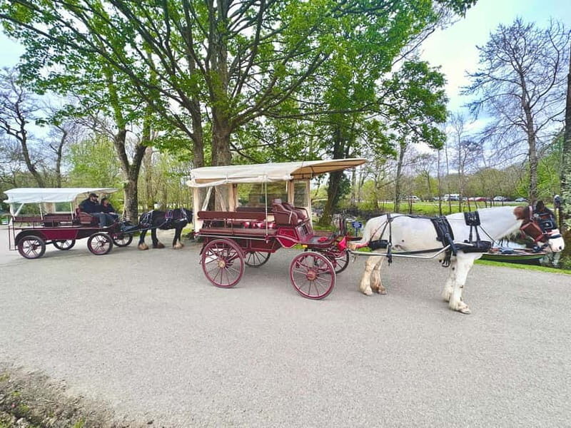Killarney National Park Tour - FAQs
