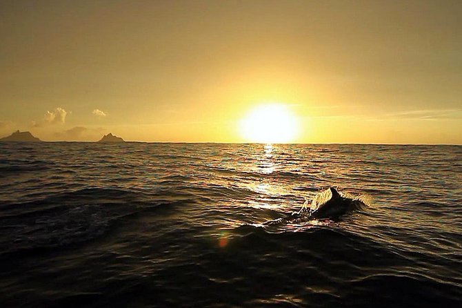 Killarney Super Saver: Dingle and Slea Head Day Trip Plus Ring of Kerry and Killarney Lakes Day Trip - Itinerary: Ring of Kerry and Killarney Lakes Day Trip