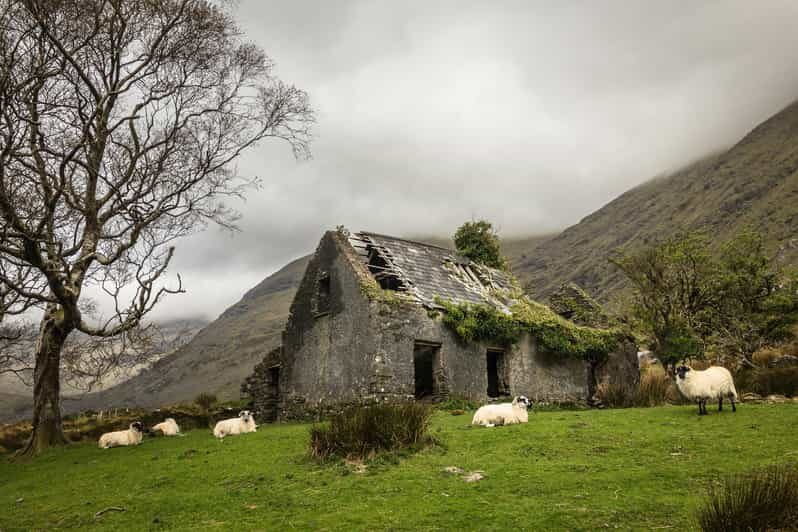 Killarney: The Ring of the Reeks - Backroads Rural Tour - Killarney: The Ring of the Reeks - Backroads Rural Tour