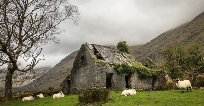 Killarney: The Ring of the Reeks - Backroads Rural Tour - The Sum Up