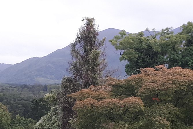 Killarney Valley & National Park Tour - Itinerary Adjustments