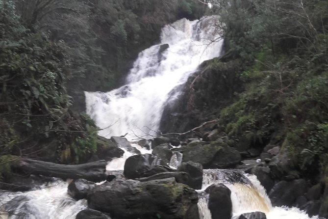 Killarney Valley & National Park Tour - Pickup and Meeting Details