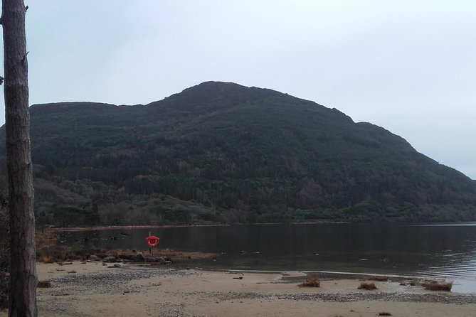 Killarney Valley & National Park Tour - Inclusions and Accessibility