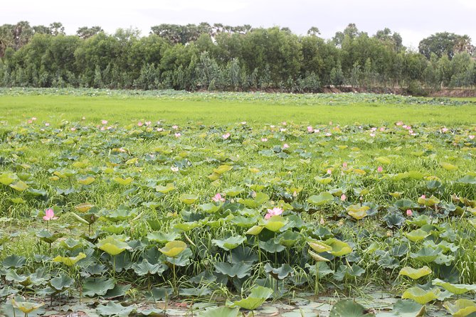 Killing Field & Paddy Rice Fields Tuk Tuk Adventure - FAQ