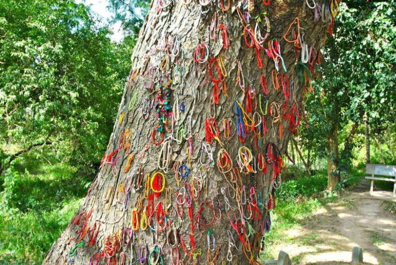 Killing Fields and S21 Half day by Private Tour - Who Would Enjoy This Tour?