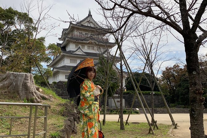 Kimono Dressing & Tea Ceremony Experience at a Beautiful Castle - Capture Memorable Moments