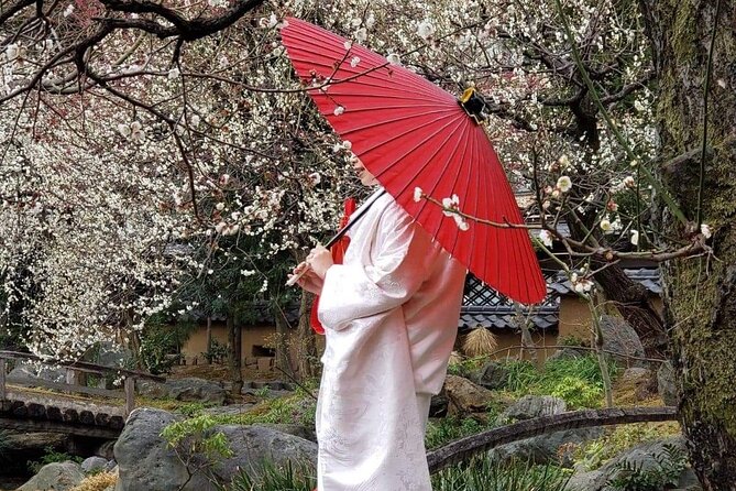 Kimono Tokyo Tour - Exploring Asakusa in Kimonos