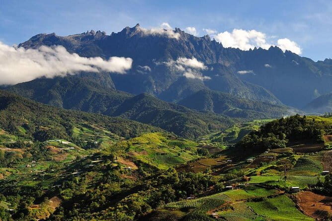 Kinabalu National Park Tour - Desa Dairy Farm: A Taste of New Zealand in Sabah