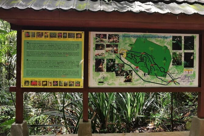 Kinabalu Park And Poring Hot Spring Private Day Tour - Key Points