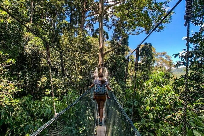 Kinabalu Park, Desa Dairy Farm & Poring Hot Springs Tour - The Itinerary in Detail