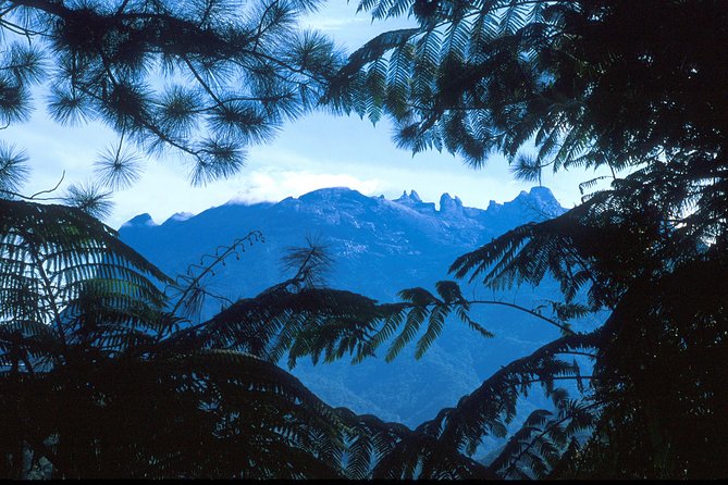 Kinabalu Park & Poring Hot Spring Tour - Who Should Consider This Tour?