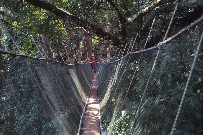 Kinabalu Park & Poring Hot Spring Tour - Summary: Is It Worth It?