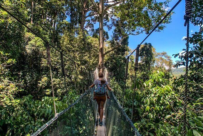 Kinabalu Park & Poring Hot Springs Tour with Desa Dairy Farm - FAQ