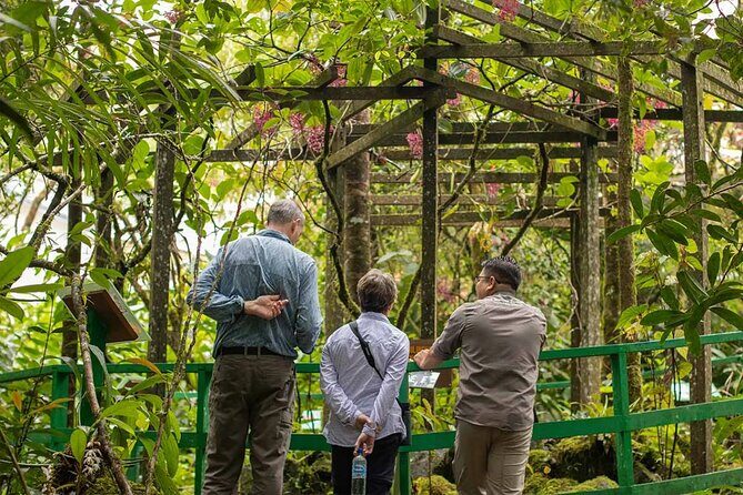 Kinabalu Park Tour with Desa Dairy Farm & Poring Hot Springs - What’s Included and What’s Not