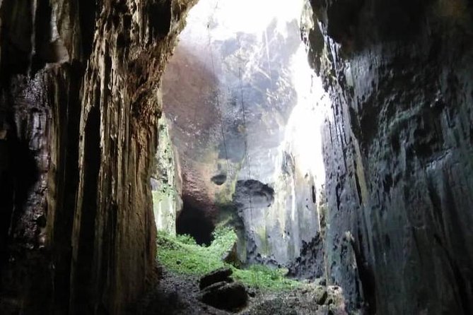 Kinabatangan River Cruise from Sandakan - Exploring the Kinabatangan River Cruise from Sandakan: An Honest Review