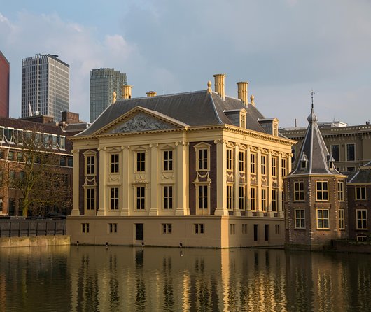 Kinderdijk and the Hague With Mauritshuis, Escher or Madurodam - Customer Experiences