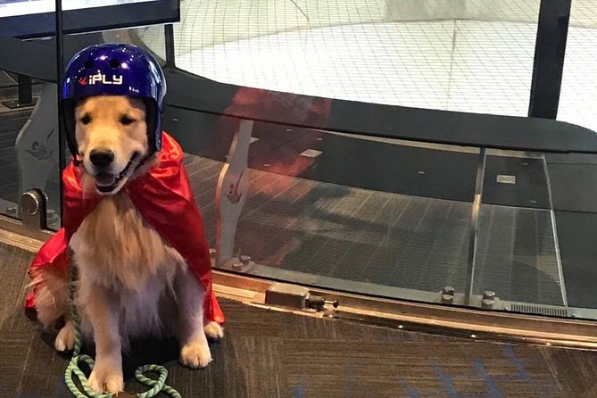 King of Prussia Indoor Skydiving with 2 Flights & Personalized Certificate - Why It’s a Good Deal