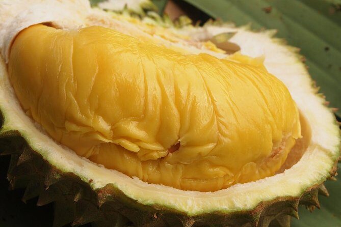 King of Tropical Fruits - Durian Tasting Tour From Kuala Lumpur - The Itinerary: What’s Included and What to Expect