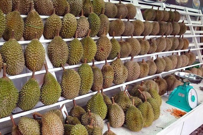 King of Tropical Fruits - Durian Tasting Tour From Kuala Lumpur - Pricing and Value: Is It Worth It?