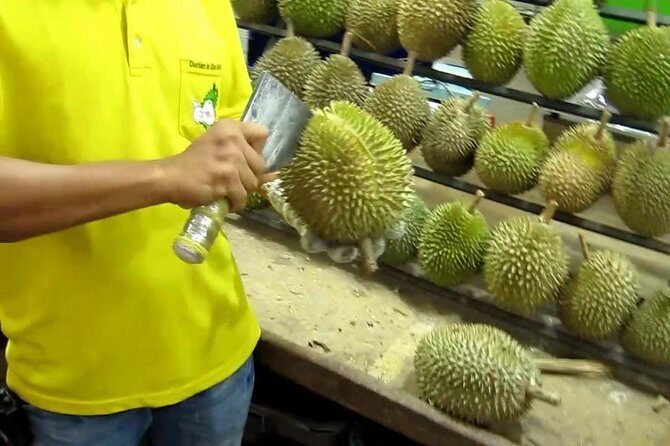 King of Tropical Fruits - Durian Tasting Tour From Kuala Lumpur - Who Will Love This Tour?