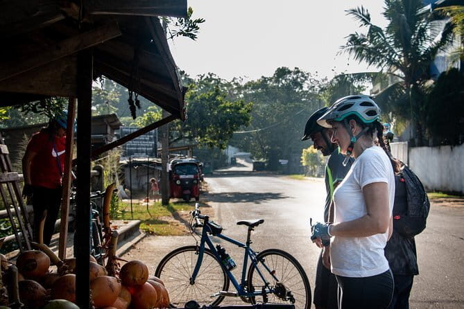 Kingdom Trail Cycling Tour from Mount Lavinia - Analyzing the Price & Value
