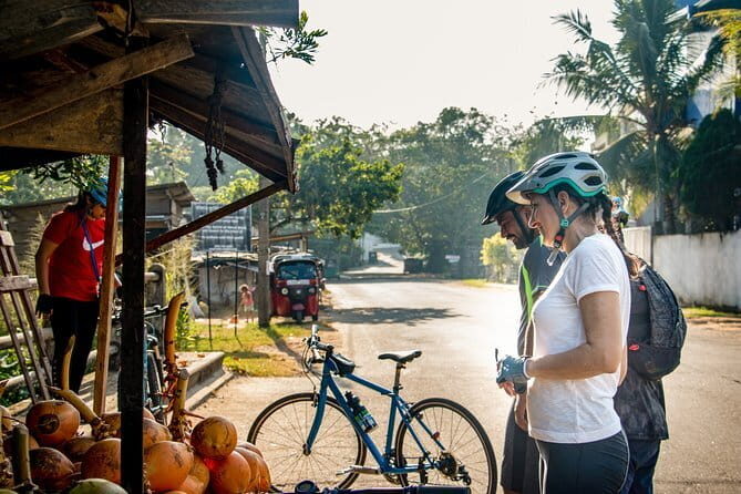 Kingdom Trail Cycling Tour from Mount Lavinia - The Sum Up