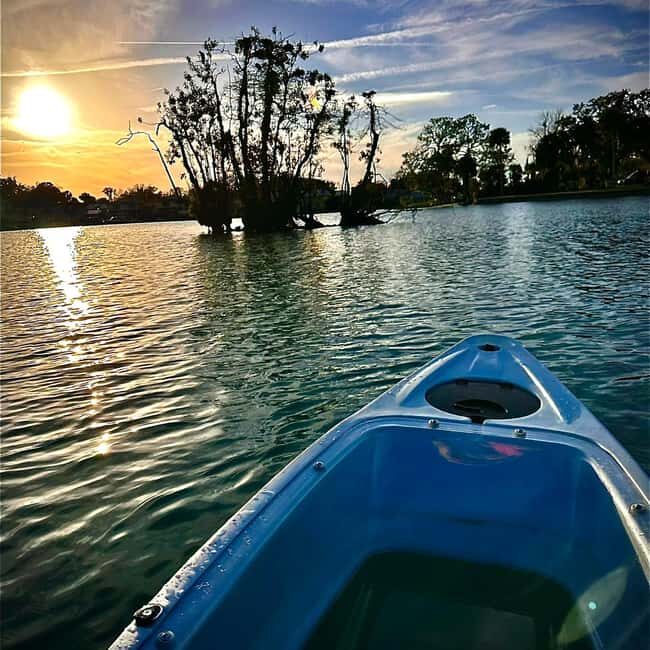 Kings Bay, Crystal River: Gentle Sunrise Manatee Kayak Tour - The Practical Side: What’s Included and What to Bring