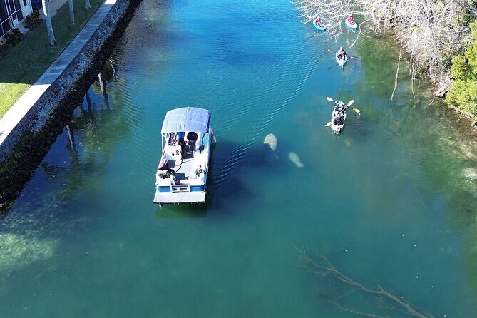 Kings Bay Eco Tours - Key Points