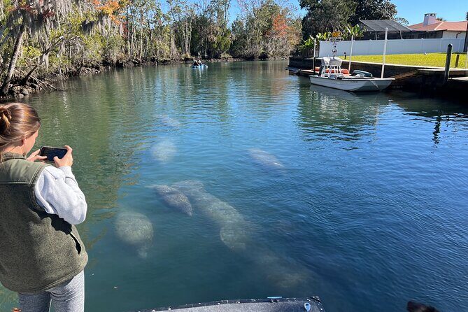Kings Bay Eco Tours - A Deep Dive into the Kings Bay Eco Tour Experience