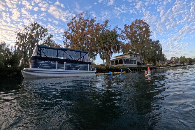 Kings Bay Manatee Watching Cruise - FAQ