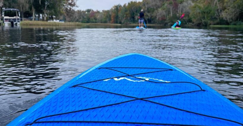 Kings Bay/Three Sisters: Self Guided Tour- ClearBottom Kayak - Is It Worth the Price?