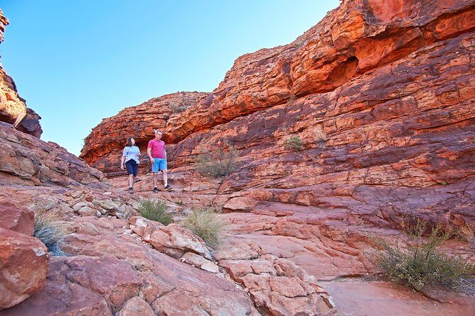 Kings Canyon Day Trip from Ayers Rock (Uluru) - The Experience: Pros and Cons