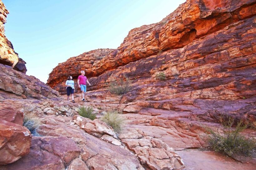 Kings Canyon: Full-Day Tour from Ayers Rock Resort - The Garden of Eden and Other Lookouts