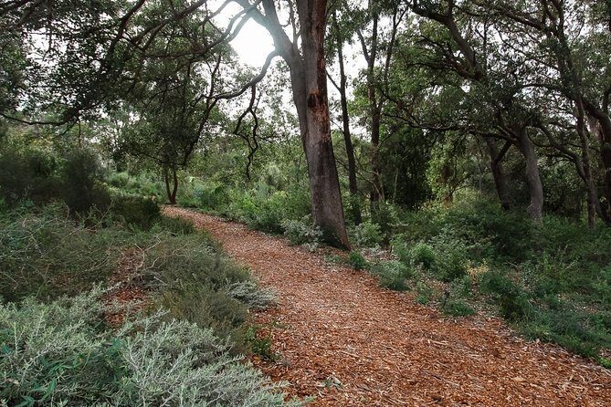 Kings Park Botanicals And Beyond - Practical Details and Tips