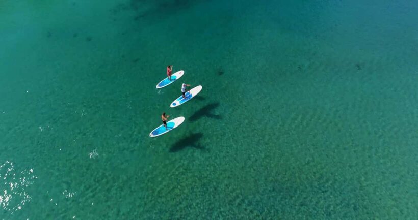 Kingscliff: Paddleboard and Mindfullness in the Mangroves - Key Points