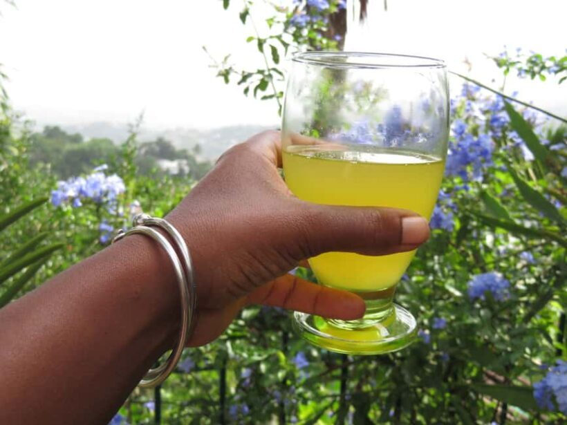 Kingston Blue Mountains Tour with Coffee Tasting - Key Points