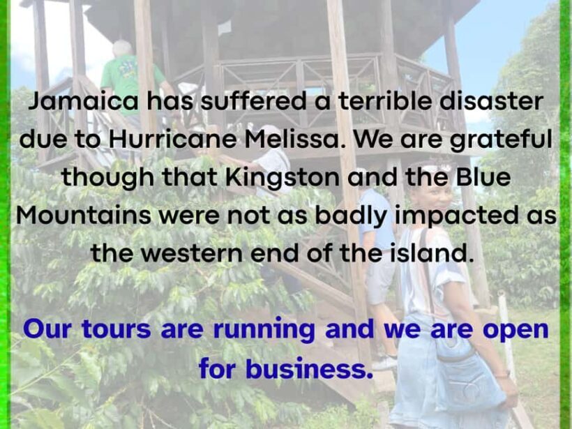 Kingston Blue Mountains Tour with Coffee Tasting - Discovering the Blue Mountains: An Impressive Journey into Jamaica’s Cloud Forest