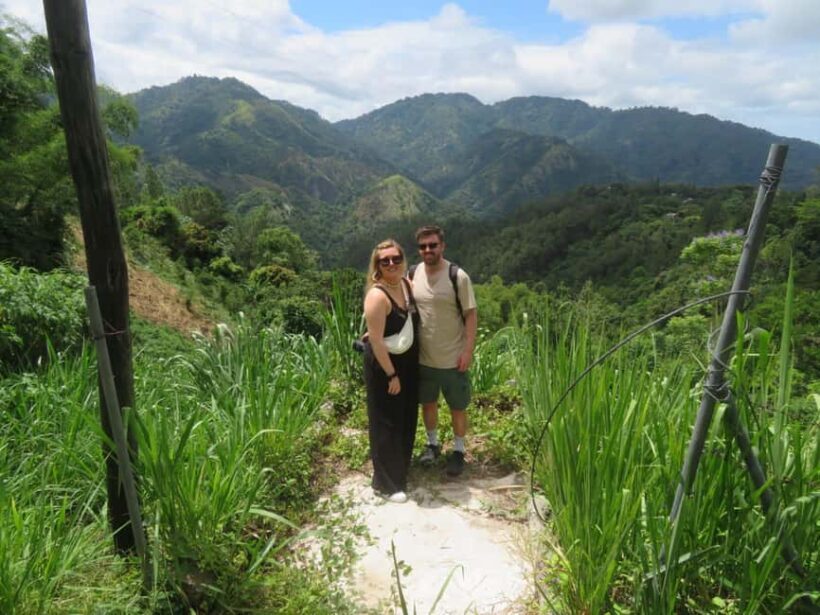 Kingston Blue Mountains Tour with Coffee Tasting - Practical Tips for Travelers