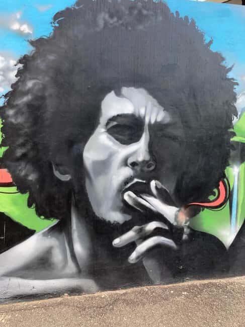 Kingston Bob Marley Museum: Full-Day Excursion - Who Should Take This Tour?