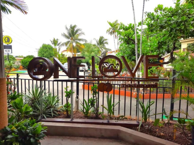 Kingston: Bob Marley Museum Tour from Montego Bay - The Experience: Pros, Cons, and Practicalities