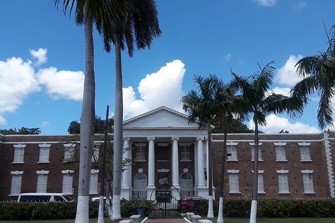 Kingston Day Trip From Ocho Rios - Who Is This Tour Best For?