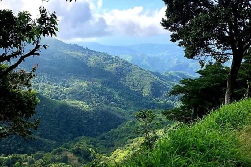 Kingston: JAMAICA Dirt Bike Tour 3 days Offroad/Onroad - Who Will Love This Tour?