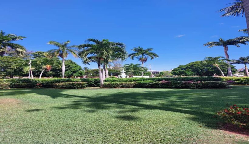 Kingston Private Cultural and Heritage Day Tour - The Sum Up