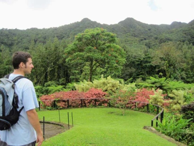 Kingstown: Montreal Gardens and Belmont Lookout Tour - An In-Depth Look at the Tour Experience