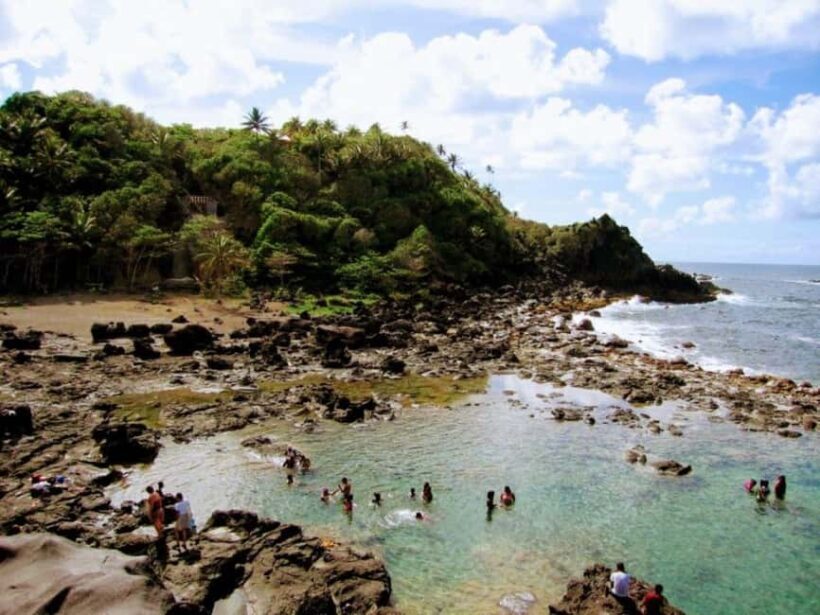 Kingstown: Owia Salt Pond Tour with Hotel Pickup - An Authentic Slice of Saint Vincent