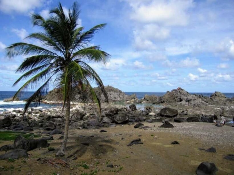 Kingstown: Owia Salt Pond Tour with Hotel Pickup - Practical Details and Value