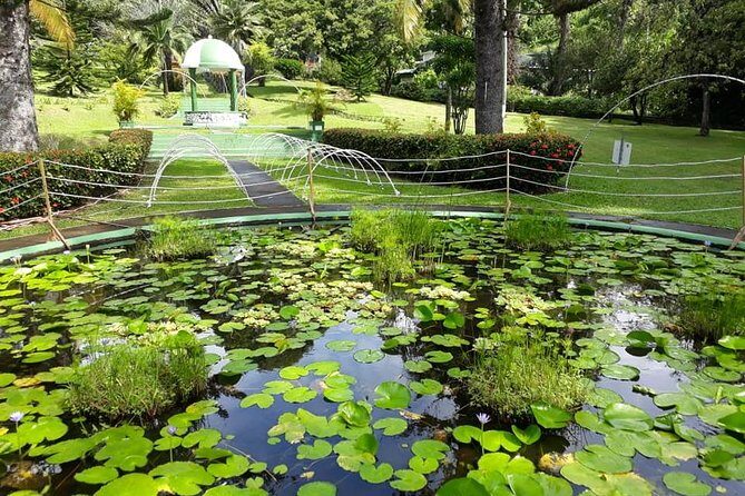 Kingstown Tour And Beach - Private Tour - The Itinerary in Detail