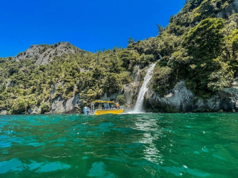 Kinloch: Lake Taupo Catamaran Cruise with Paddleboarding - Value and Suitability